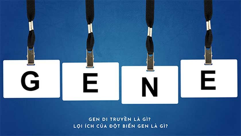 Gen di truyền là gì? Lợi ích của đột biến gen là gì? | Genetica®